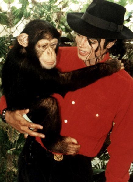 Monkaa (MONKAA) - Ape Express